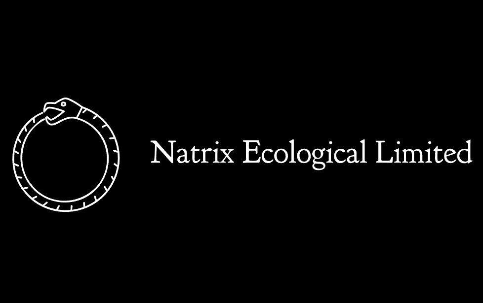 Natrix Ecological - Reptile, Newt, Bat & Badger Surveys in ...